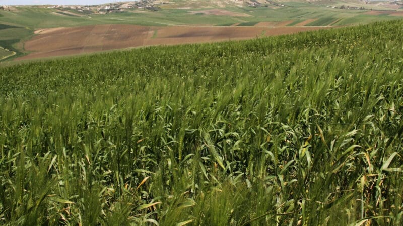 Cinq ans après son lancement, Génération Green trace la voie d’une ...